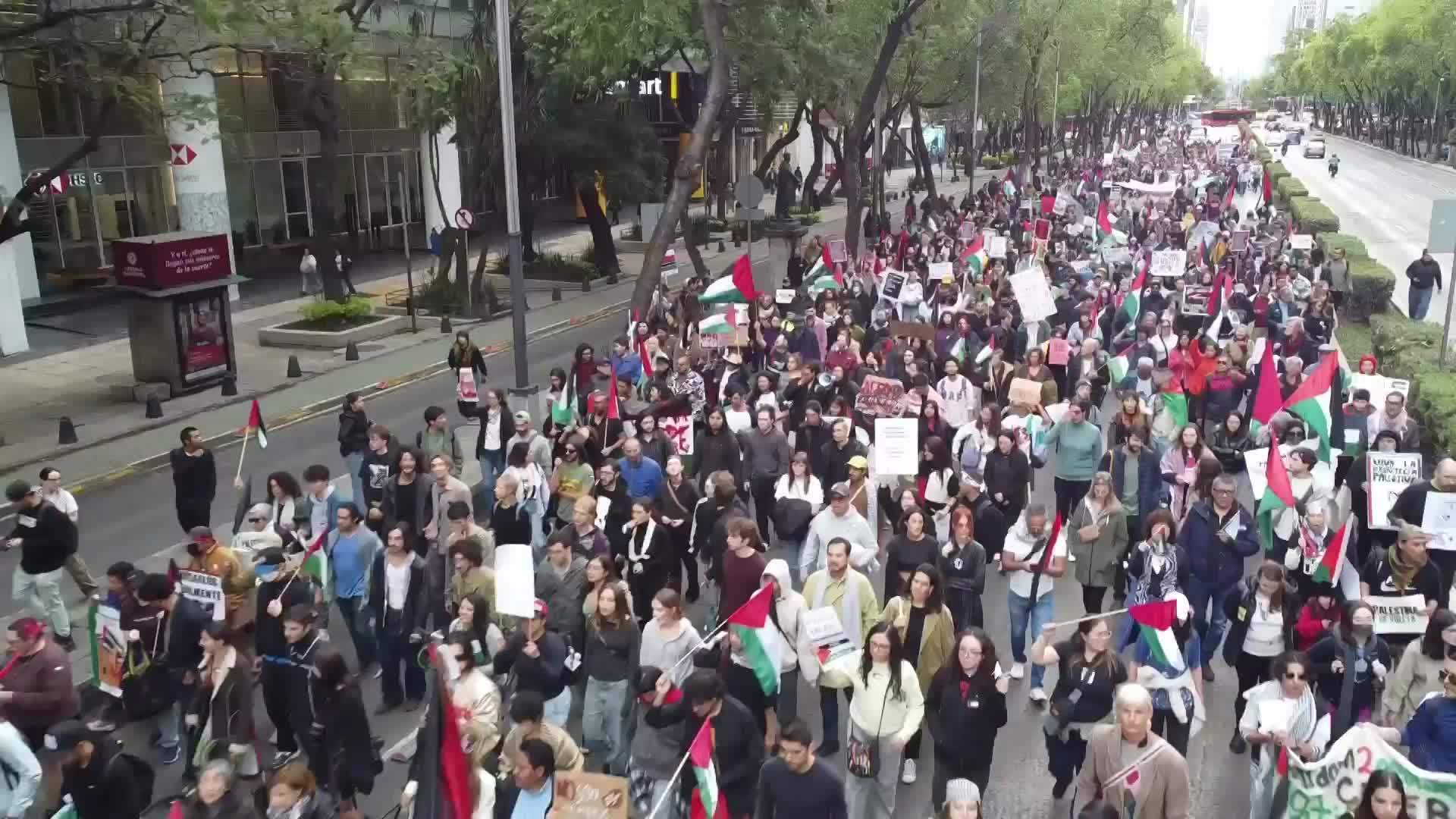 'Crimes against humanity' – Thousands march in Mexico City condemning ...