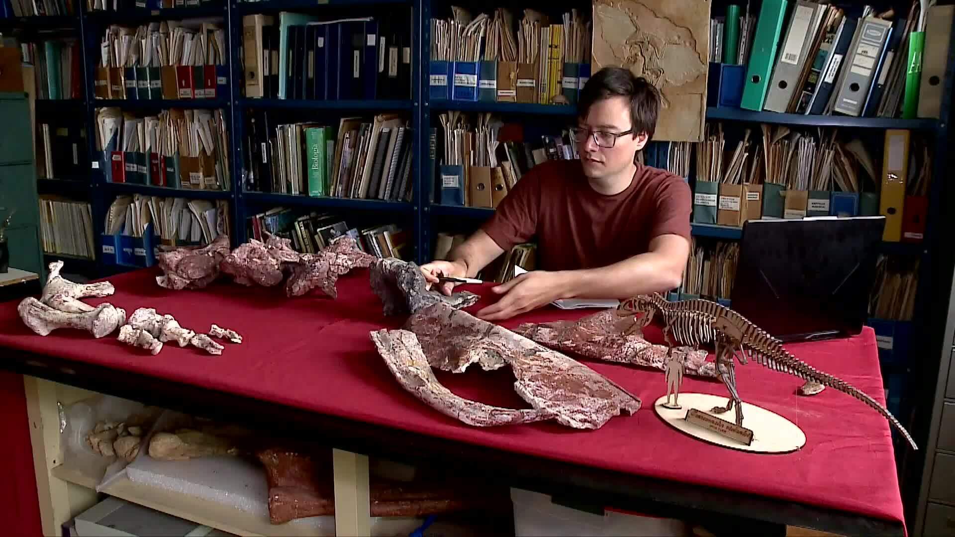 Prehistoric discoveries! Argentinian archaeologists discover new ...