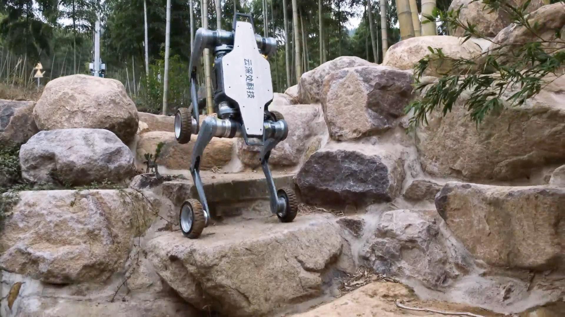 Extreme off-road! China's DEEP Robotics unveils new all-terrain dog ...