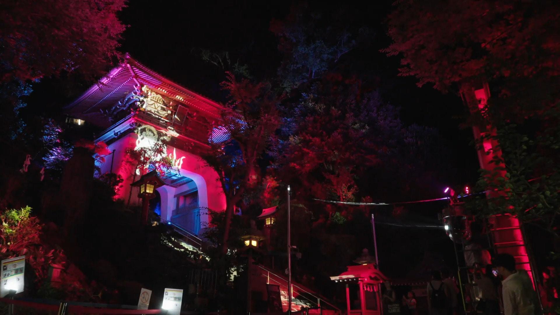 A magical sight! Enoshima Island shines bright for 2024 lantern festival | Video Viory