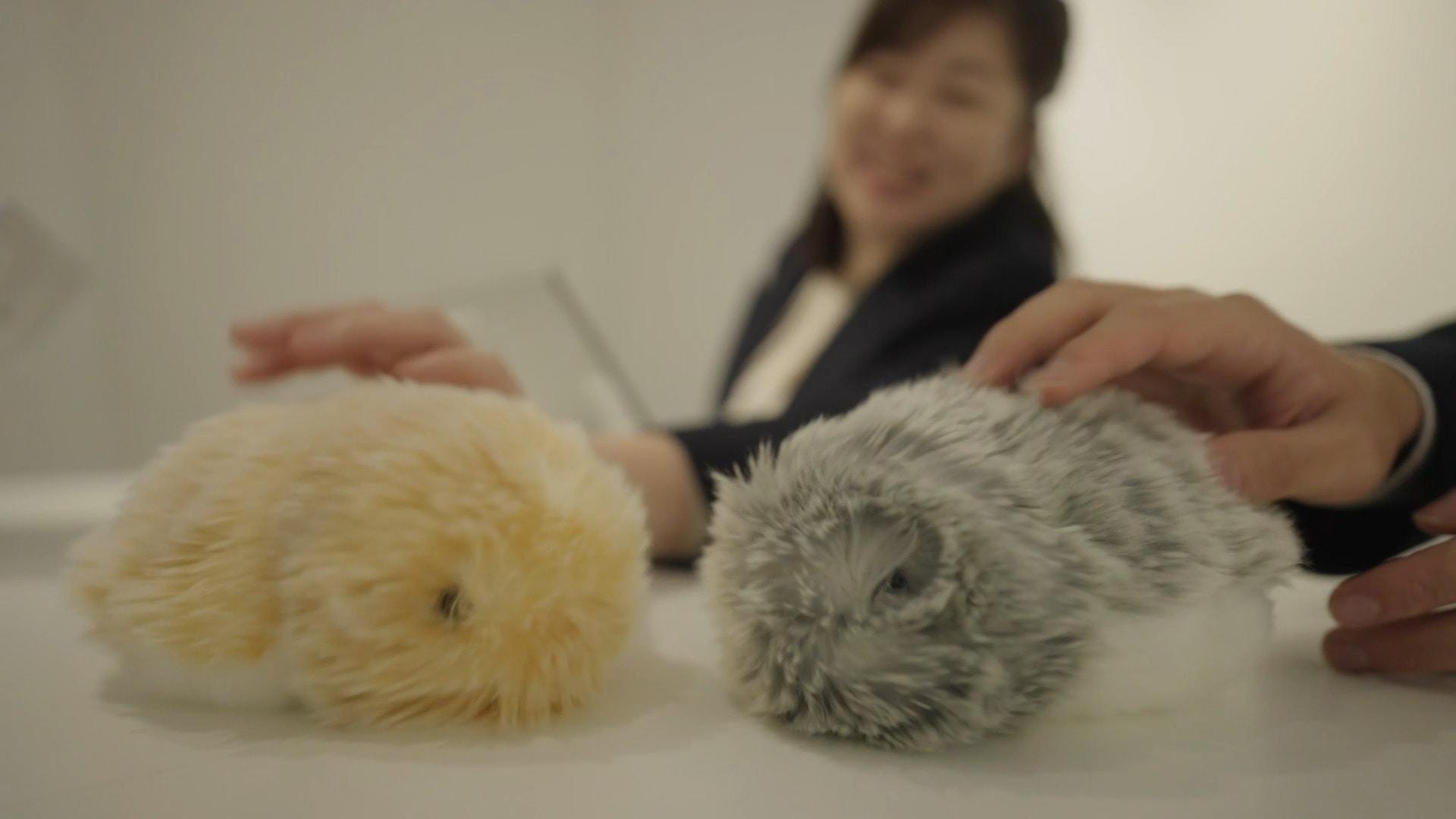 It absolutely will not stop... being cute! Moflin the cuddly AI robotic ...