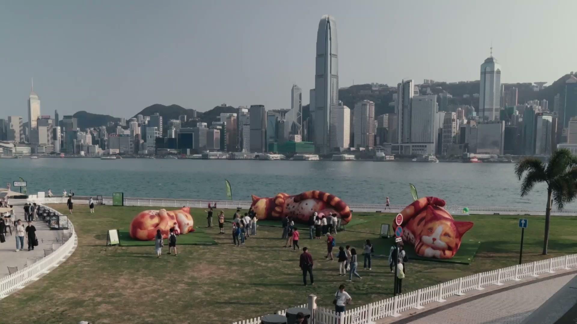 Fur real! - Giant inflatable napping cats claw in crowds at Hong Kong's ...
