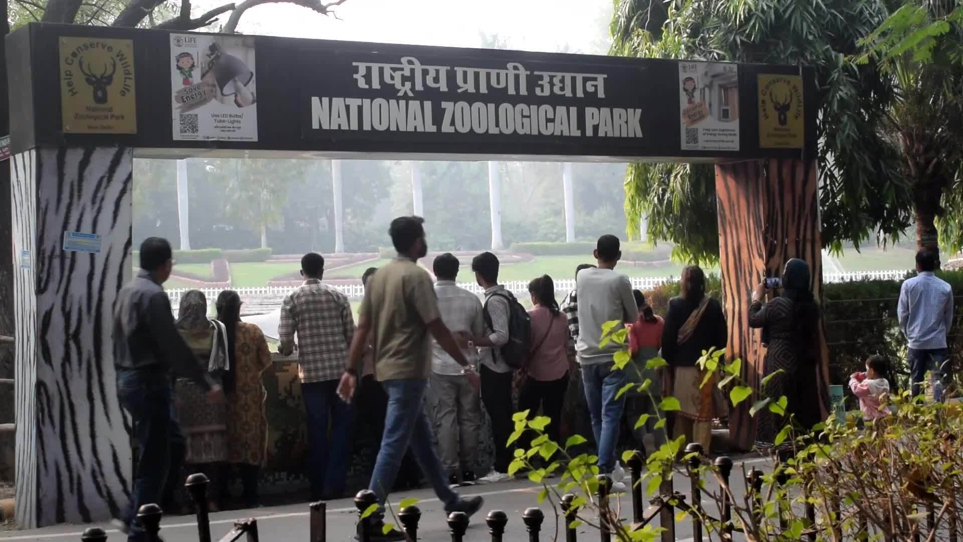 ‘Birds and animals will not survive’ - Locals warn record air pollution ...