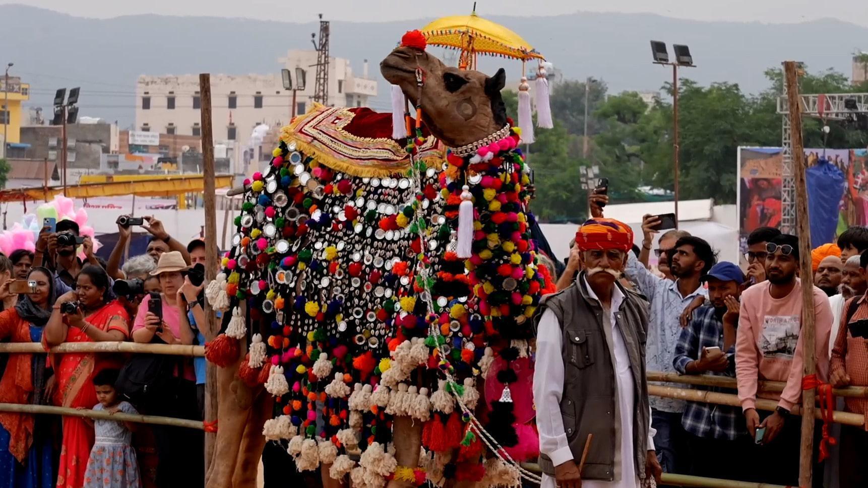 Desert stars! Thousands flock to Pushkar for spectacular camel ...
