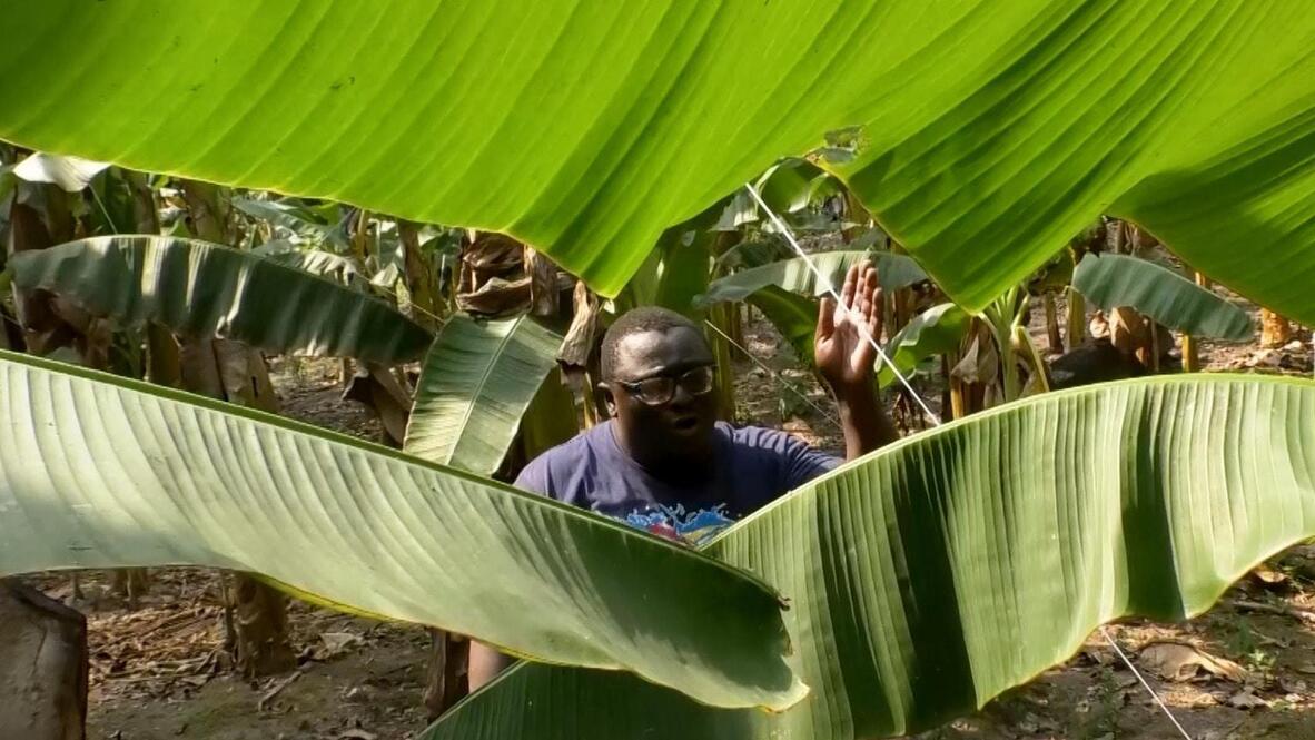 Fruitful fight! Central African Republic environmentalist takes on ...