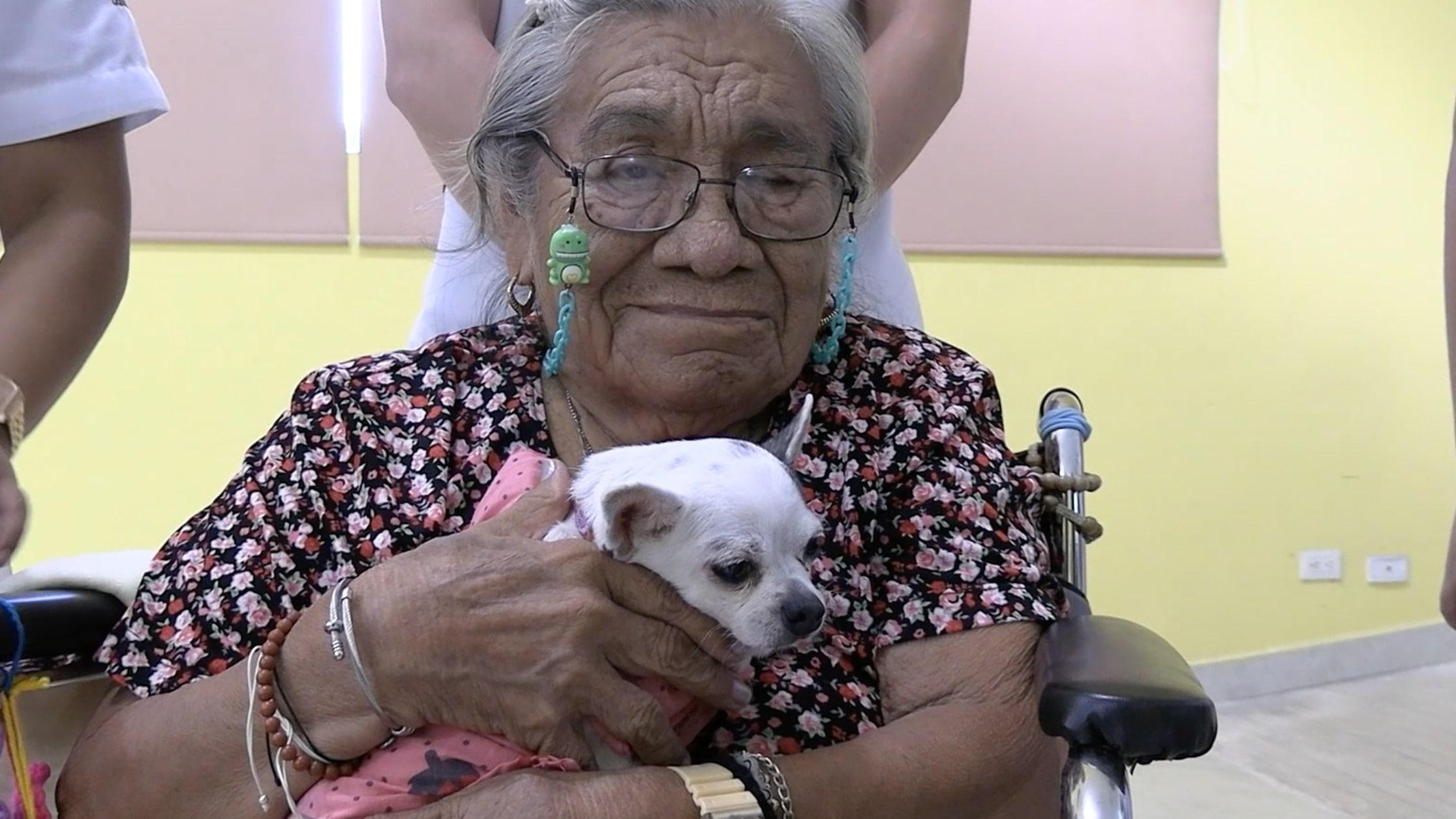 From street to heart - Merida shelter gives stray dogs a second chance ...