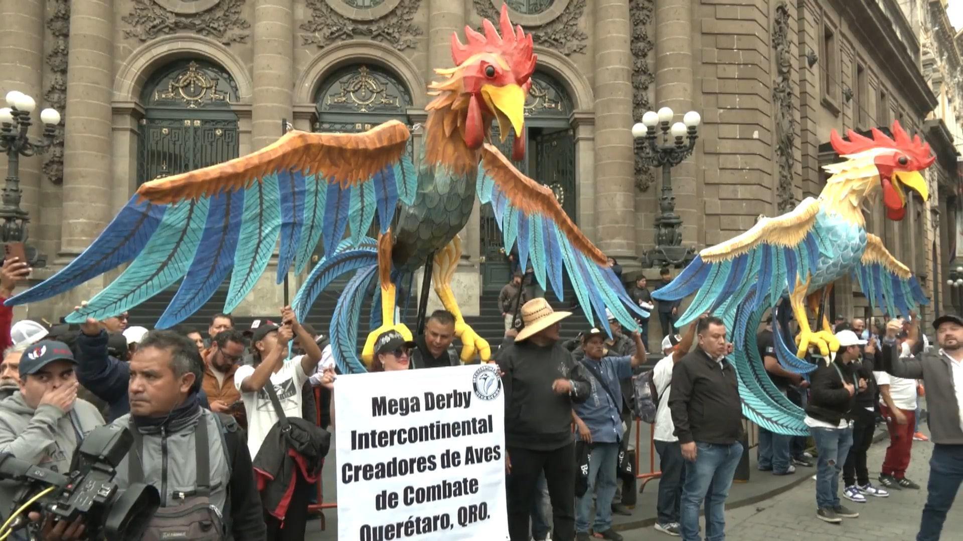 Game of chicken - Protesters rally against animal protection law that ...