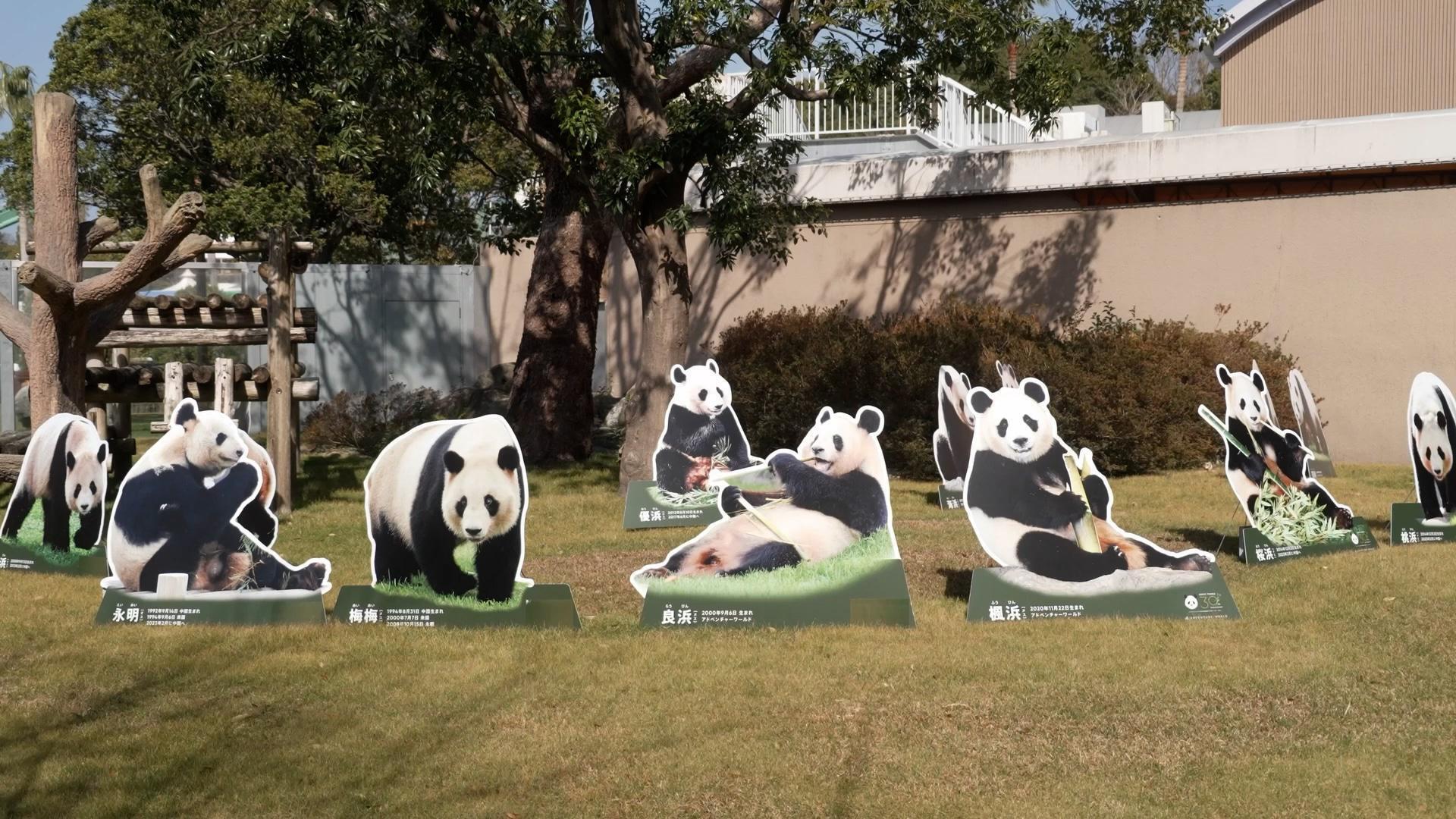 No Pandas? No problem! - Japanese park fills giant void with, er ...