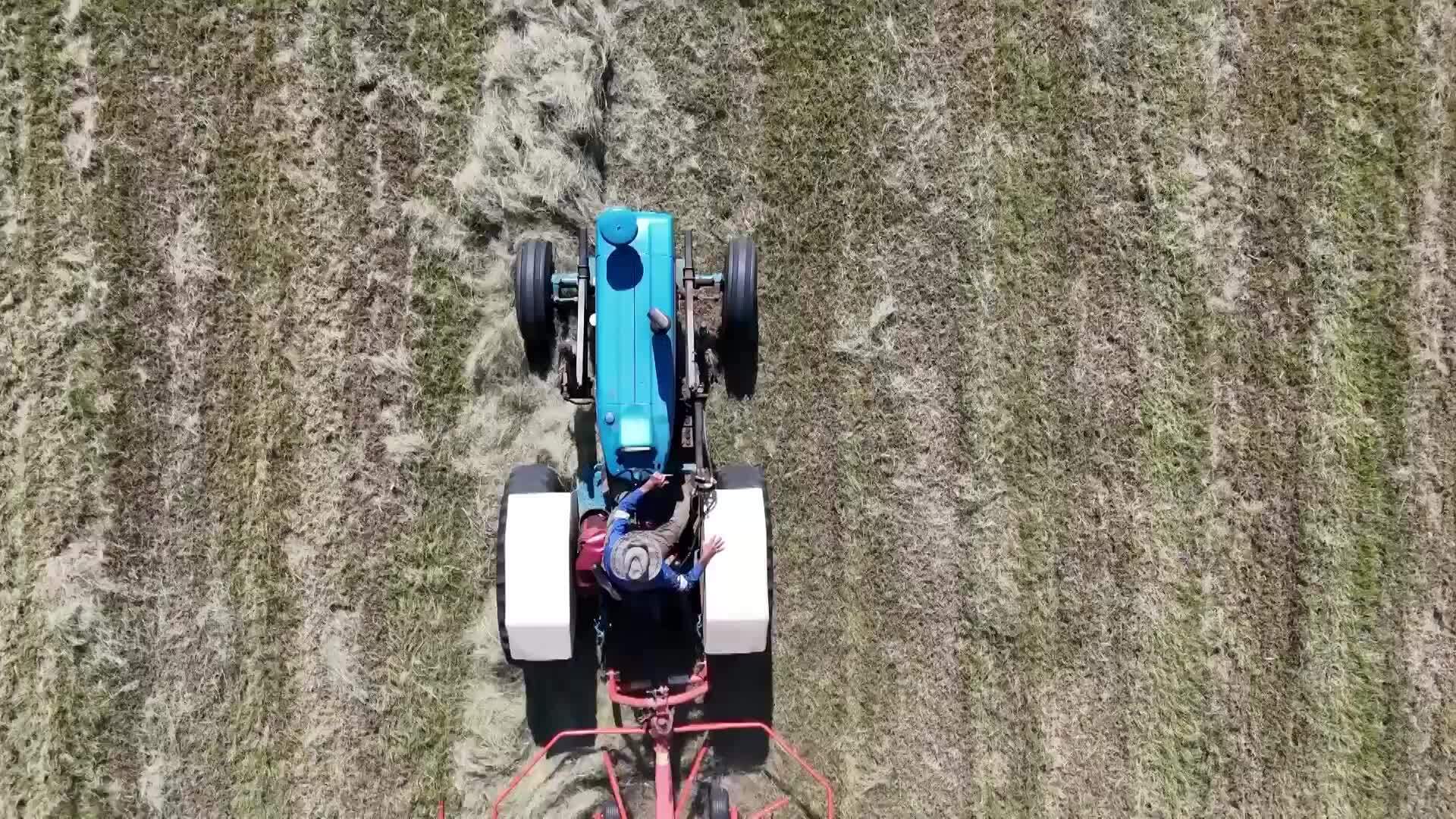 Apartheid today? – Inside South Africa's secretive Afrikaner-only ...