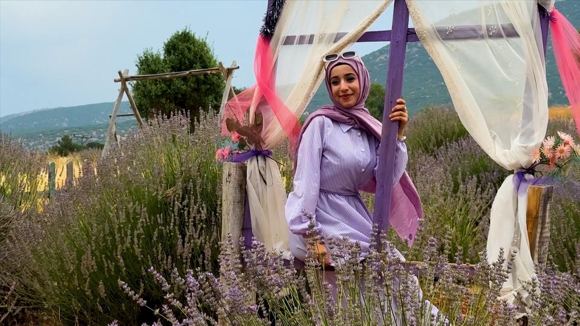 Blooming marvellous! Stunning lavender fields bring thousands of ...