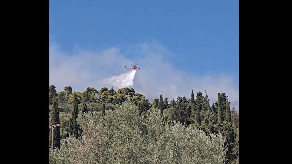 Greek inferno - Firefighting helicopters drop water on Zante blaze as ...