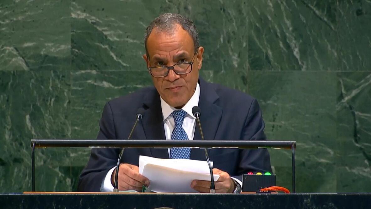 Egypt 'will not be a gateway for liquidating Palestinian cause' - FM ...