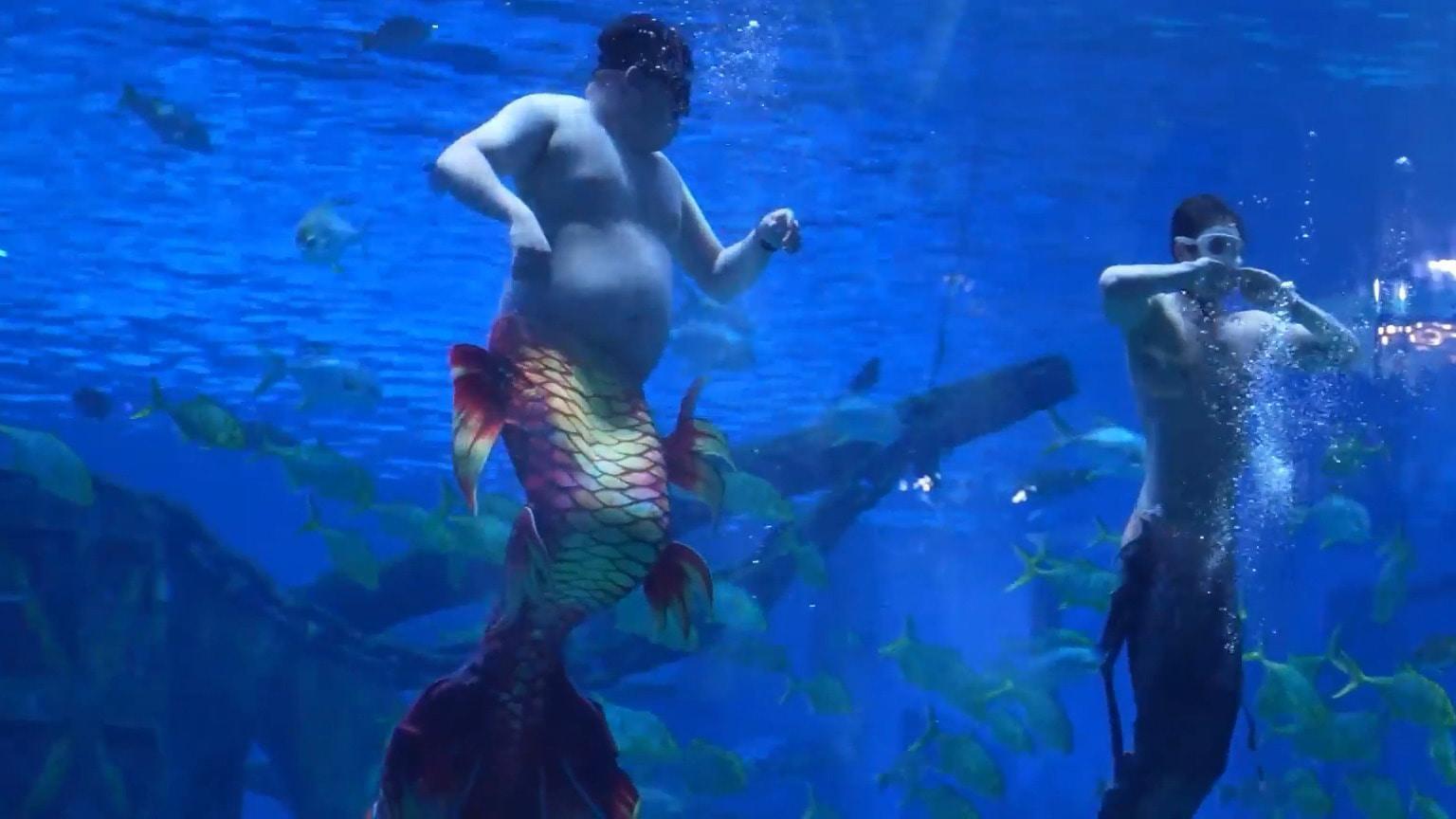 The not-so-little mermaid! Meet the plus-sized 'mermen' flooding ocean ...