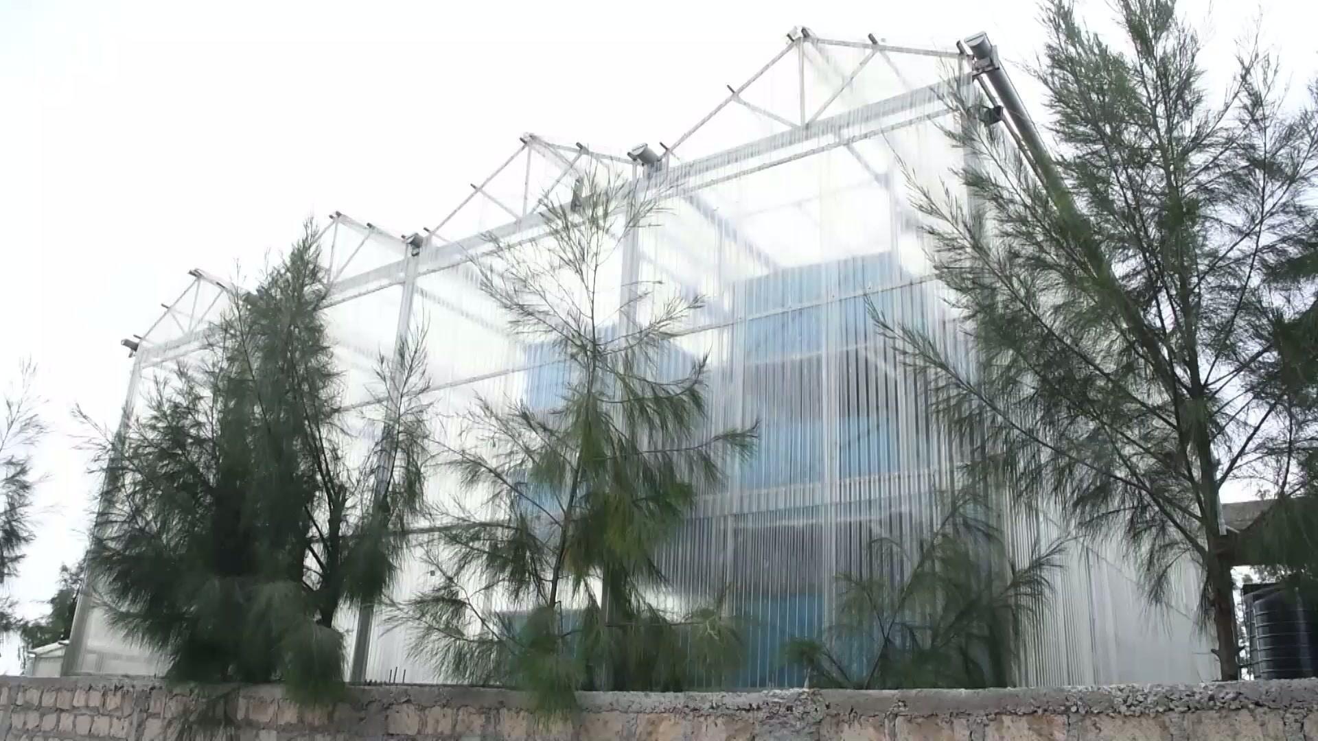 Lake in the sky! - Kenyan startup launches groundbreaking aquaculture ...