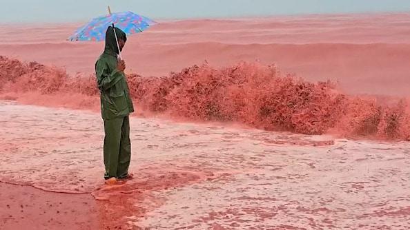 Fifty shades of red - Natural phenomenon changes colour of beaches and ...
