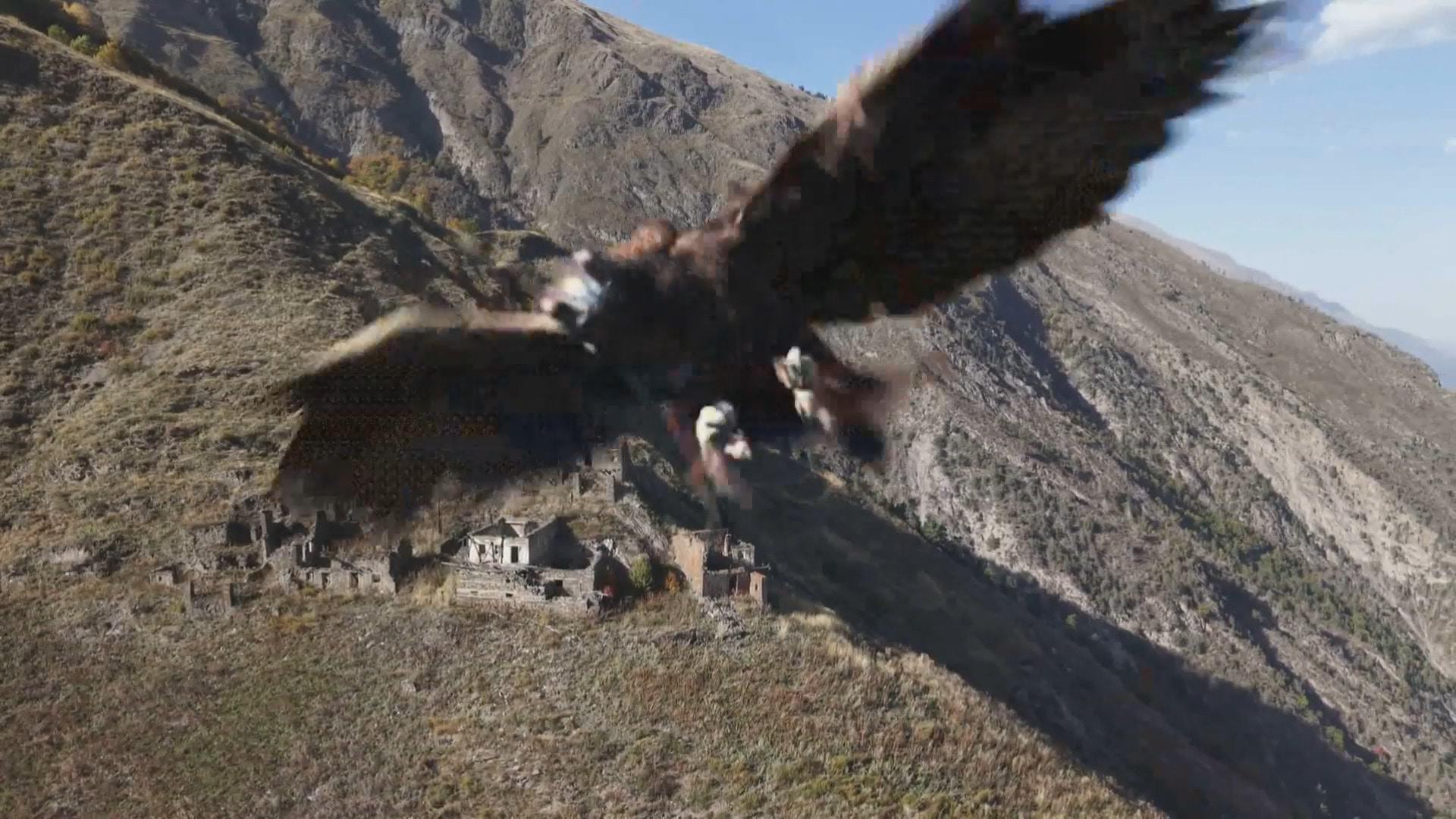 You can't film here! - Eagle swoops down on drone in Russian Caucasus ...