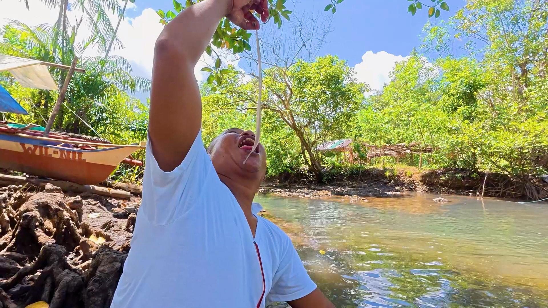 Worm-licious! Fishermen harvest wriggly local delicacies in the ...