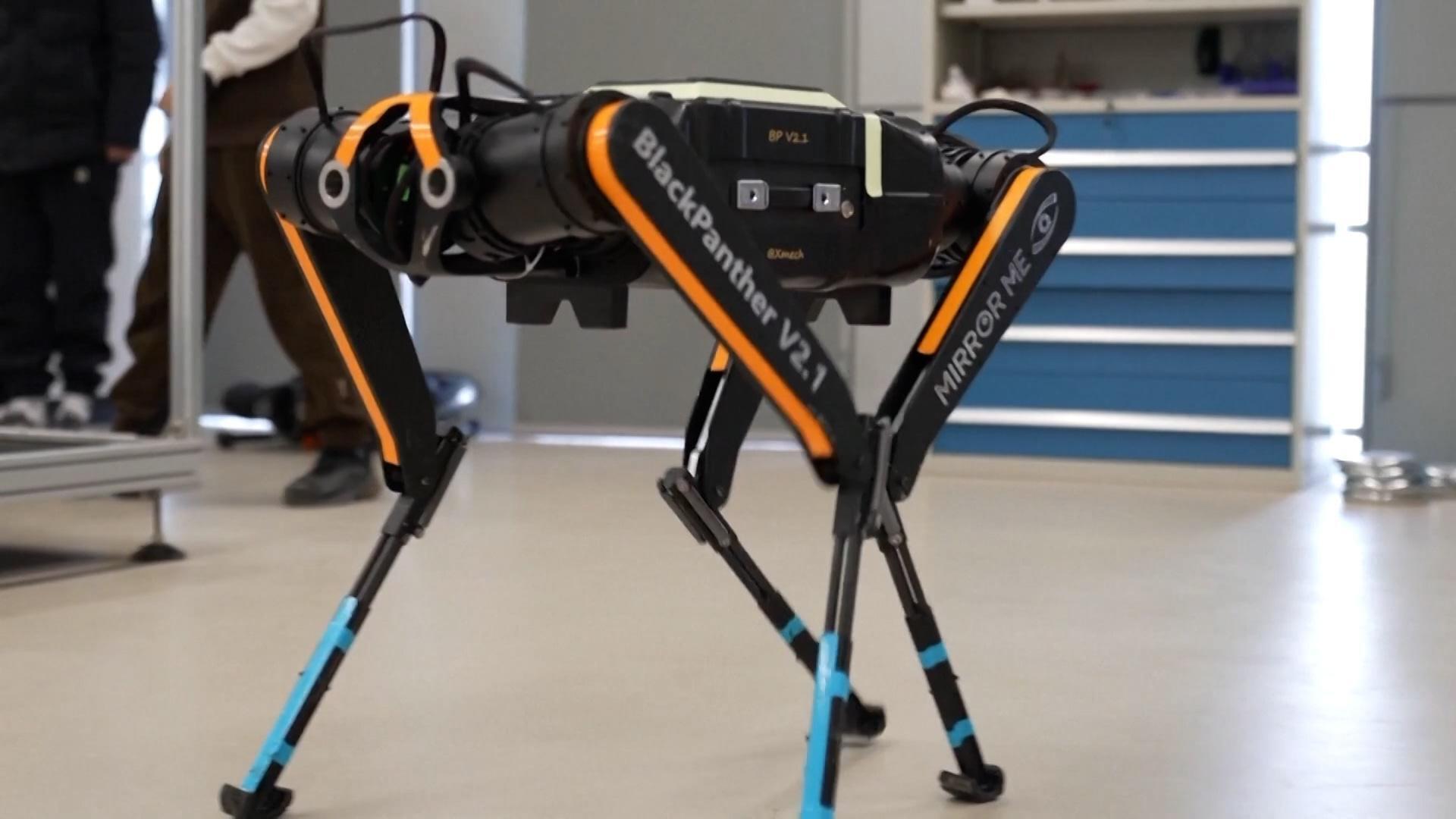 The Black Panther - Chinese researchers unveil world's 'fastest ...