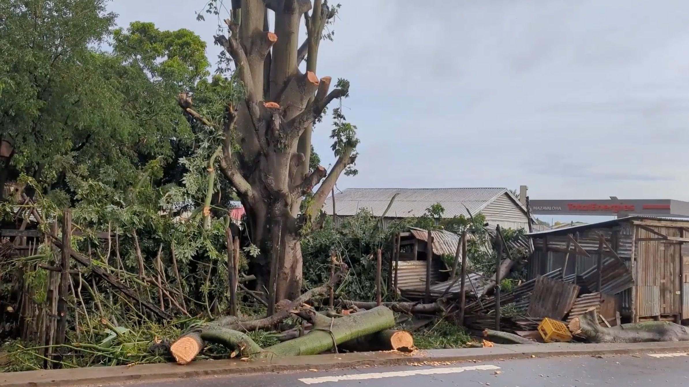 Toppled trees, damaged property as life-threatening cyclone hits ...