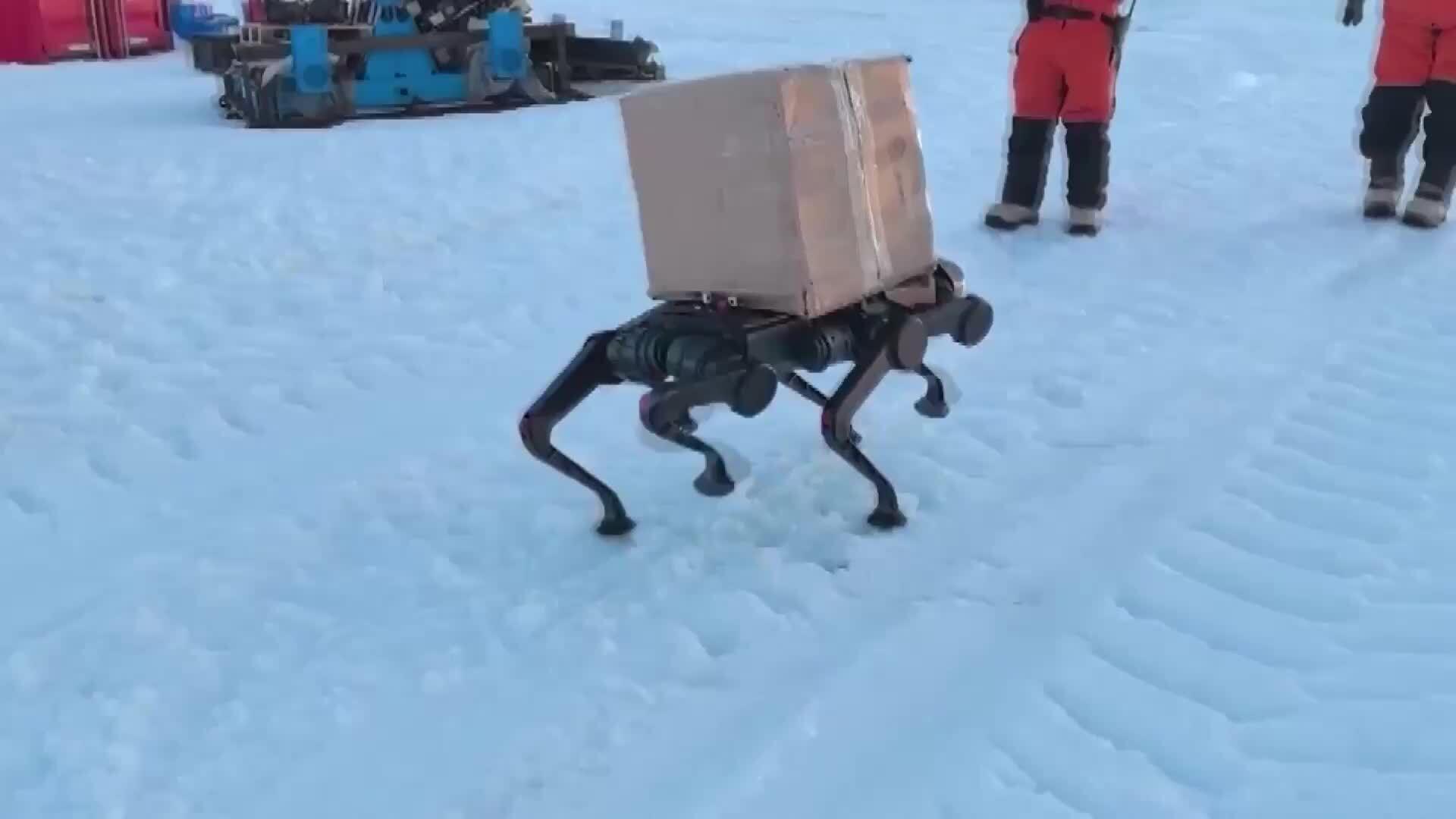 Four legs good, six legs better! Chinese robot dog takes giant strides ...