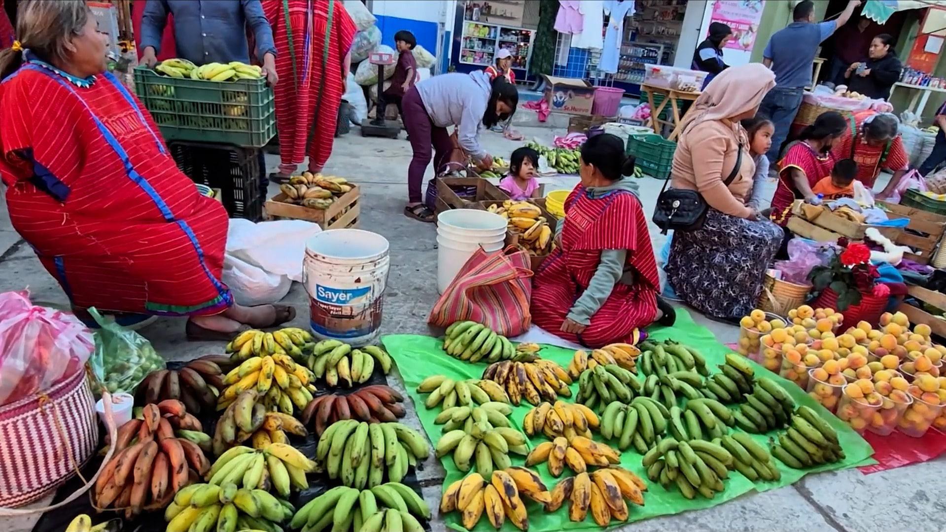 'We don’t need money' - Mexico’s Indigenous communities make ends meet ...