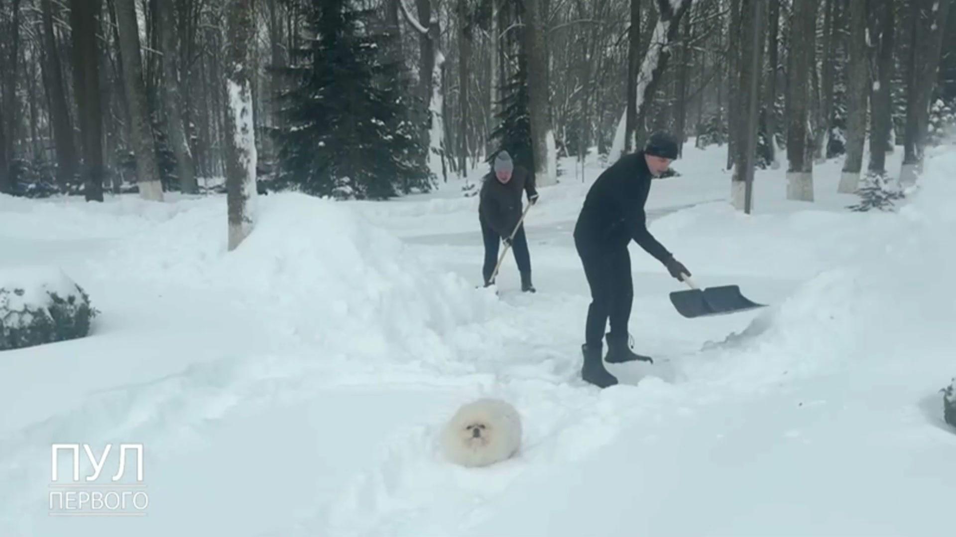 Spot the dog! - Lukashenko, son Nikolai and Umka the spitz shift ...
